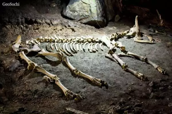 Het geheim van de "skeletgrot". Het mysterie van de Skeleton Cave Documentaire over de Skeleton Cave in Thailand